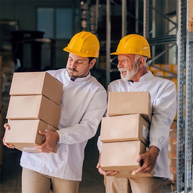 Activiteiten | Prebes